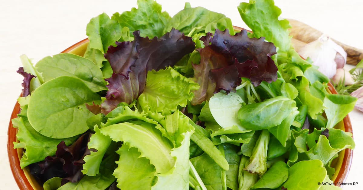 Recettes vite-faites, bien-faites - Les salades