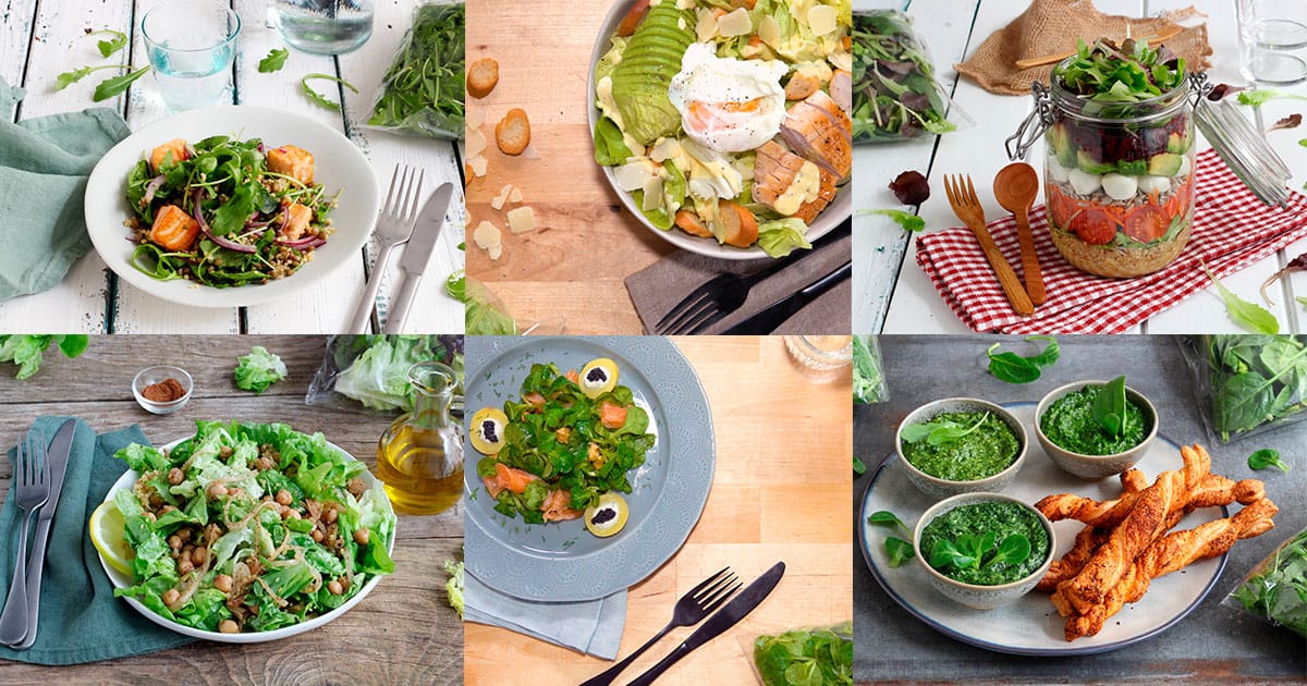 Les 4 saisons des salades - Les salades